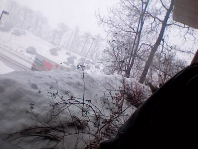 Welcome back to the tundra | Saab Link Forums