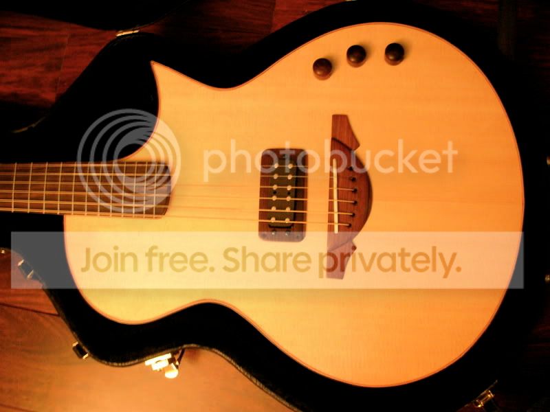 Show off your custom made guitars, by yourselves! - Page 2 - The ...