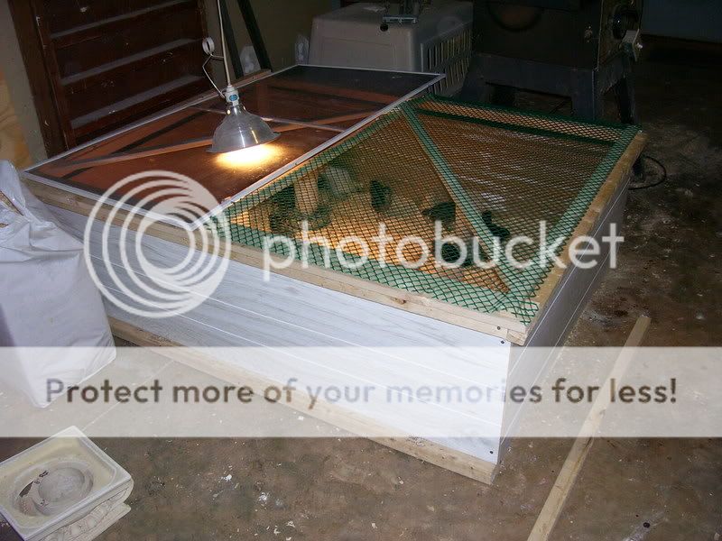 How to build a brooder? | BackYard Chickens - Learn How to Raise Chickens