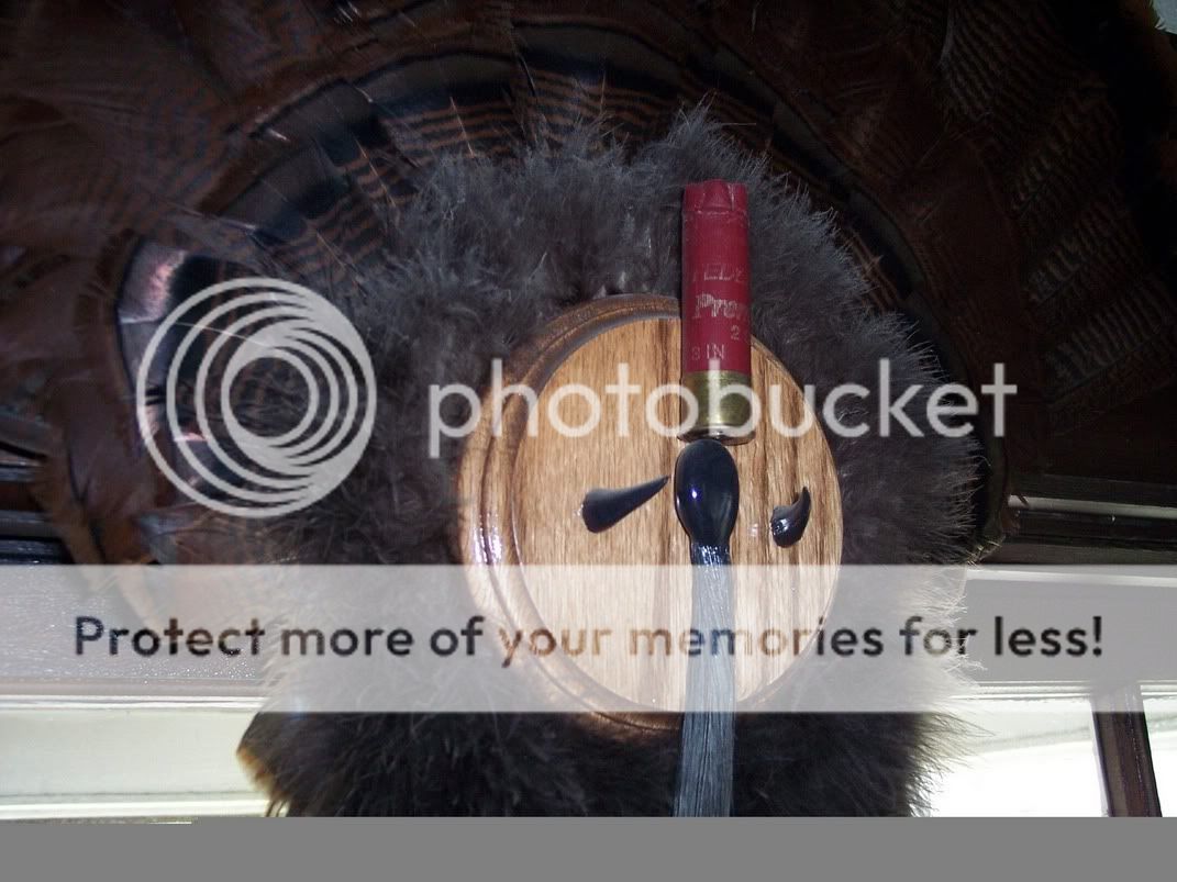 My Favorite Display using the Shotgun Shell - HuntingNet.com Forums