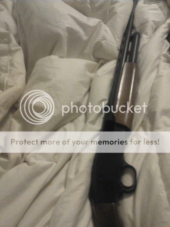 Winchester Model 70 .270 | Bloodydecks