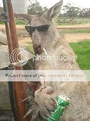 WTF IS THIS?!?!? (Paging hondaciv) Tasmanian critter pics! 56k No way ...