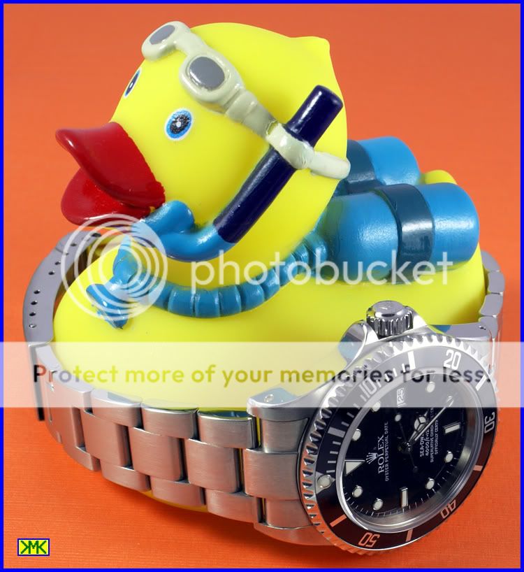 The Diving Duck Series | WatchUSeek Watch Forums