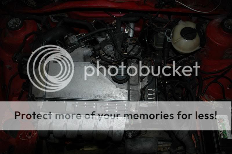 US MK3/MK2/Passat/Corrado VR6 Engine Bay.. PICs Wanted.. | VW Vortex ...