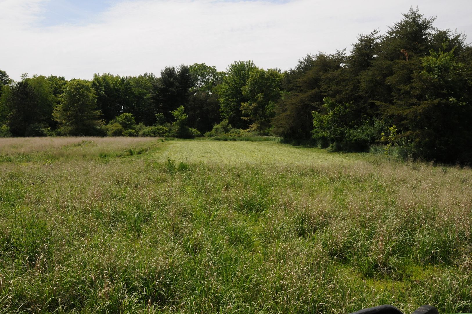 Any secrets to planting winter rye clover mix in spring? | Michigan ...