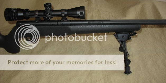 My Savage MKII TR .22lr long range squirrel rifle | Bushcraft USA Forums