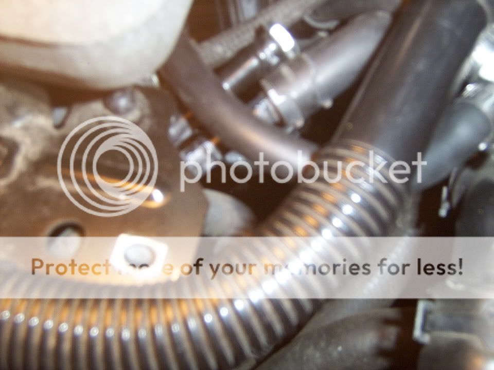 Pics **Cant find the N249** | VW Vortex - Volkswagen Forum