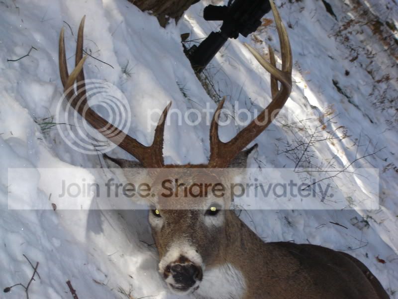Troy MCS Hunting success > M1 / M14 / M1 Carbine > AR15.COM