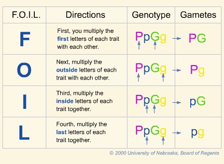BIOLOGY notes: Unit 3 Lesson 1: childofthecornx