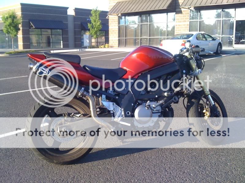 GSXR steering damper on 2nd gen | Suzuki SV650 Riders Forum