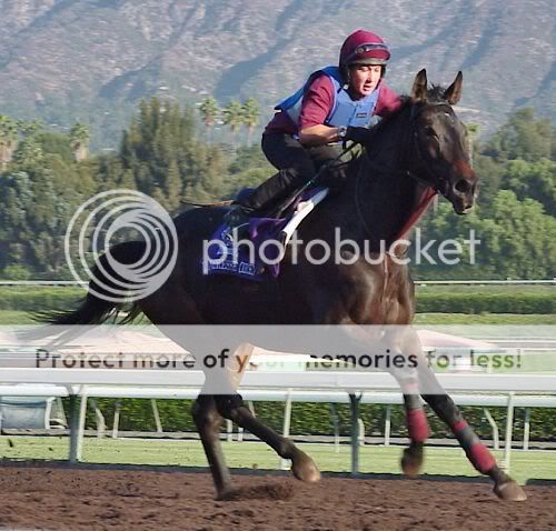 HH Racing the Phenomenon