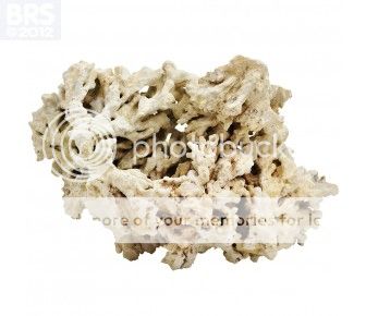 Reef Aquarium Fact #208 Live Rock is not needed to start a new ...