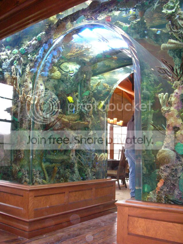 Question and Answer with Brett from the TV Show TANKED | Reef2Reef