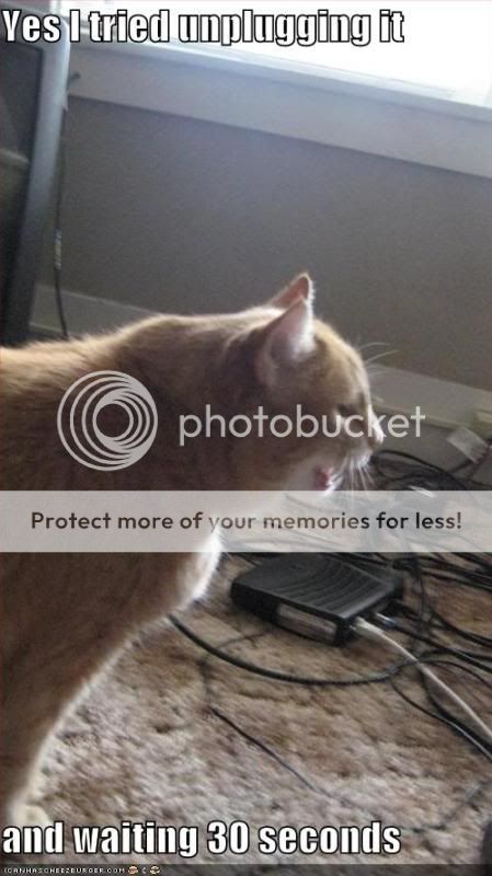 Arabs really can wheel the fj | Toyota FJ Cruiser Forum