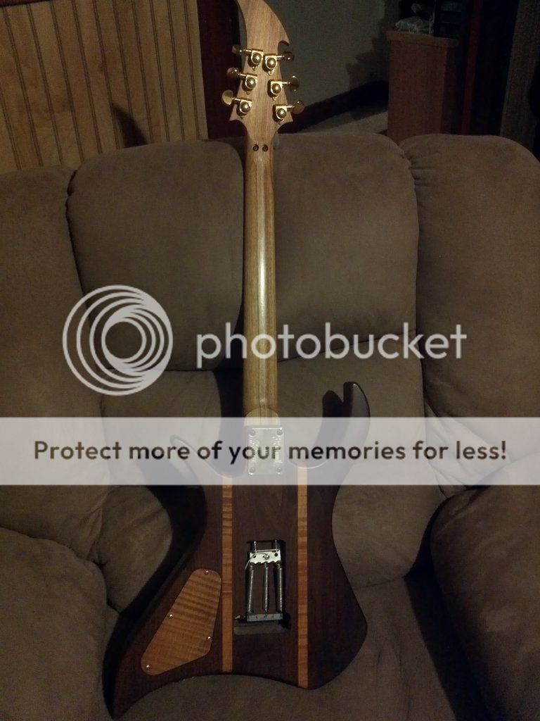 Warmoth Custom Control Cavity Covers? | Unofficial Warmoth Forum