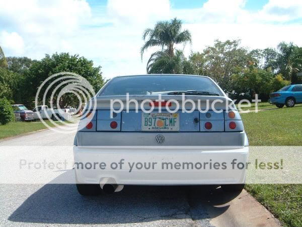 lets see them bays... | VW Vortex - Volkswagen Forum