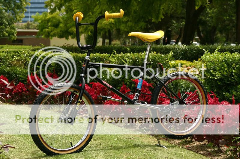 1981 Cyclops Burner - BMXmuseum.com Forums