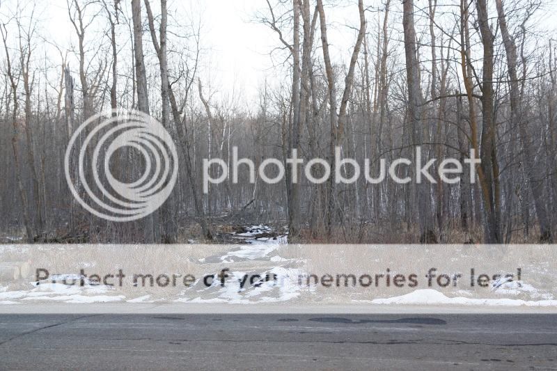 Road construction through wooded swamp? | Green Tractor Talk