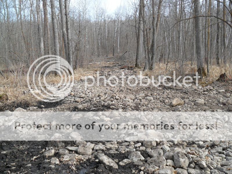 Road construction through wooded swamp? | Green Tractor Talk