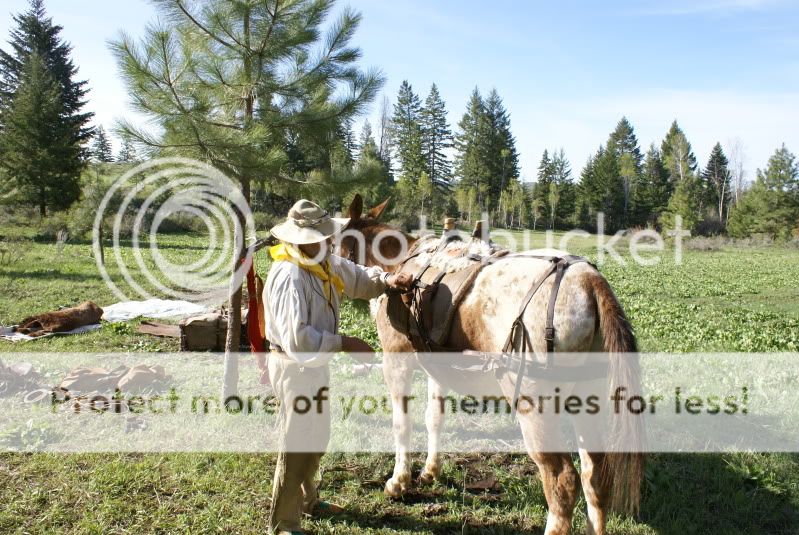 Old photo primitive hunting camp - 24hourcampfire