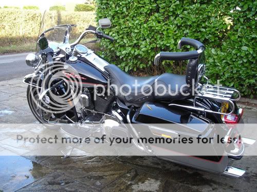 82 flt shovel - Shovelhead Forum