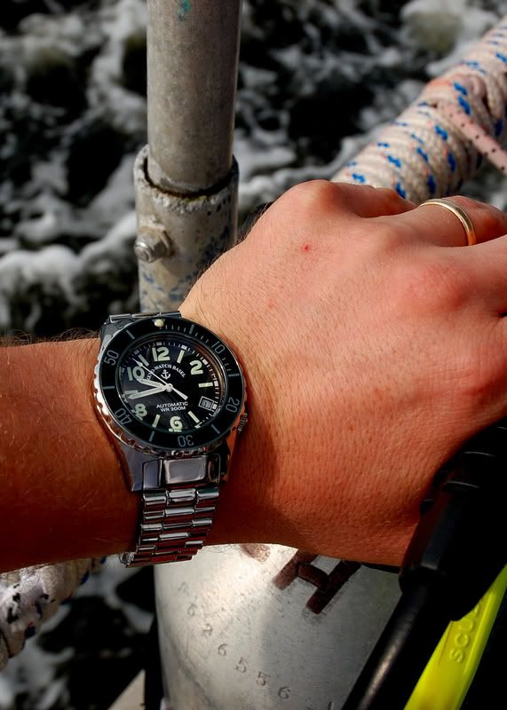 ZENO 300M Diver | WatchUSeek Watch Forums
